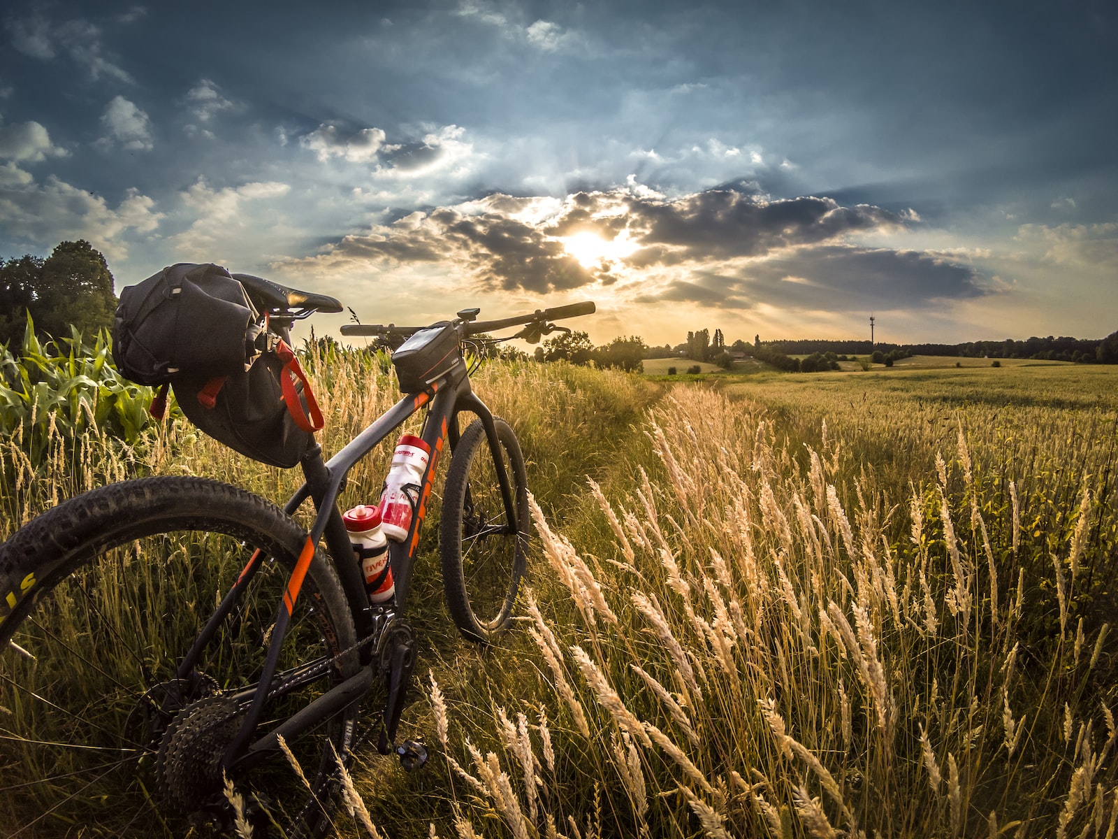 Les vertus du vélo